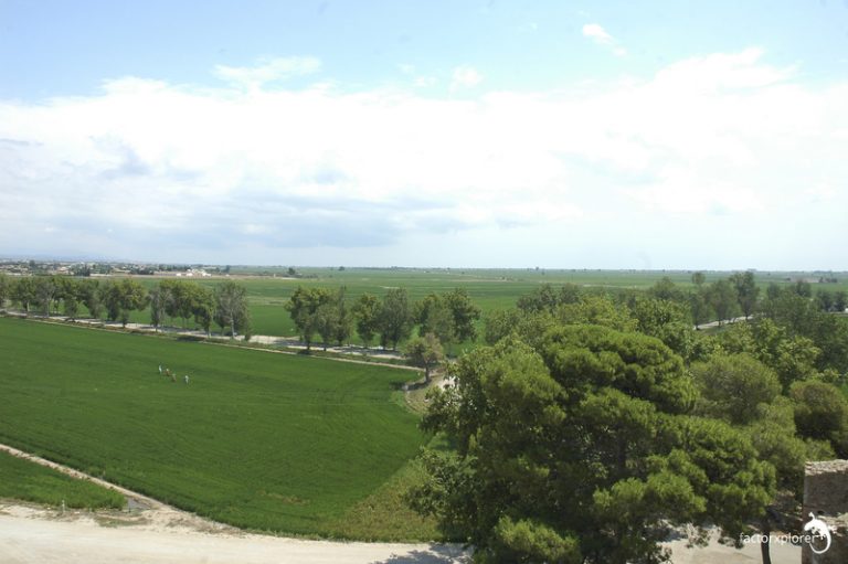 Torre l'aldea o de la ermita, L'Aldea (Tarragona, España)